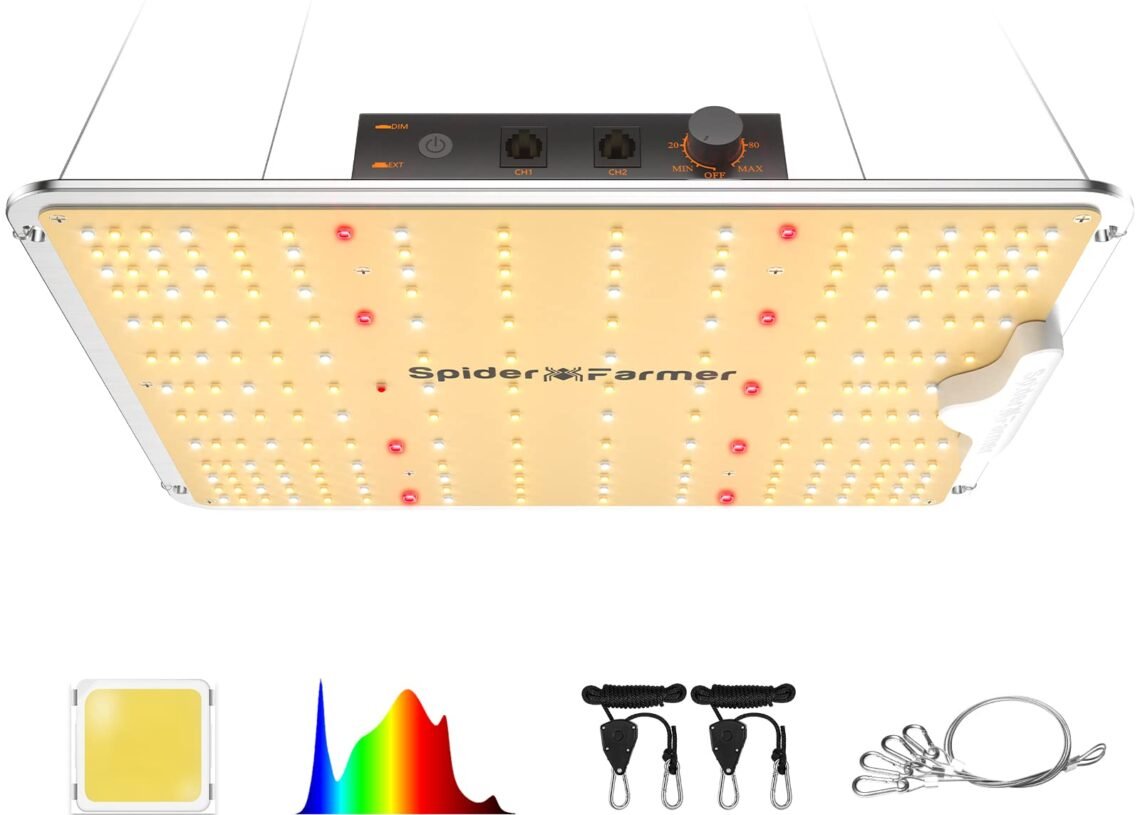 The Best Containers for Curing Cannabis in 2023